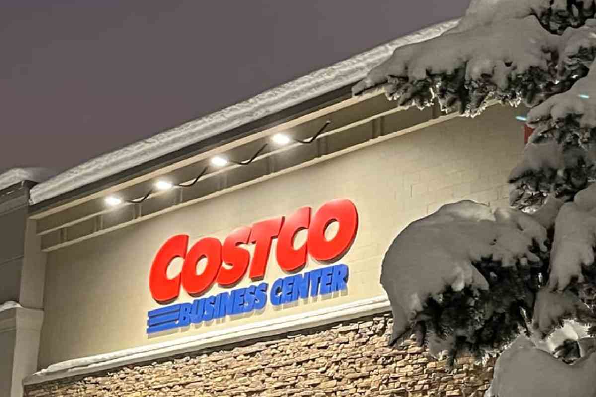 Costco Business Model and Strategy Growth